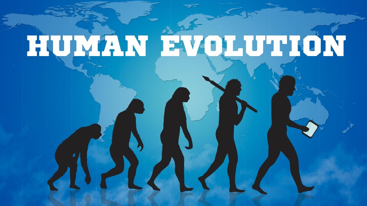 HUMAN EVOLUTION - YouTube