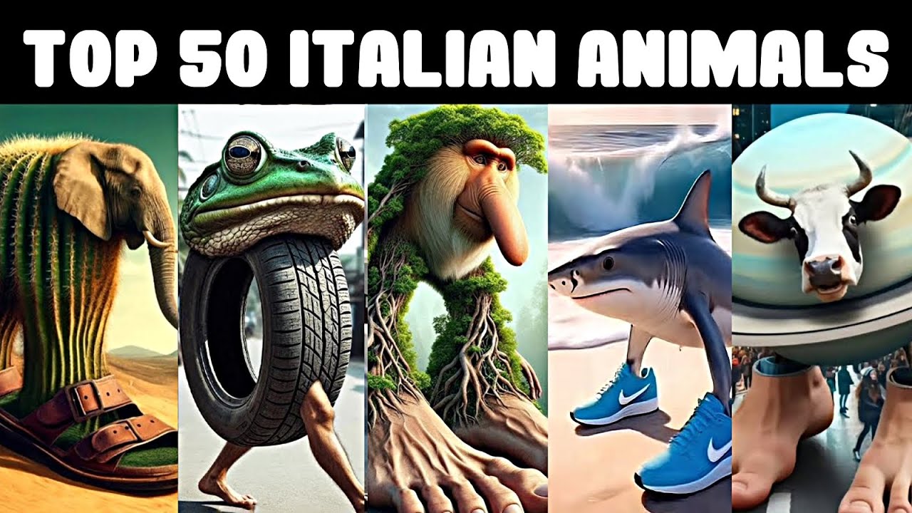 Top 50 Italian Brainrot Animals - YouTube
