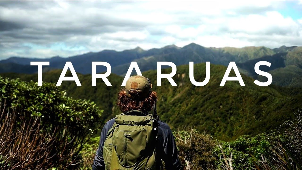 Solo Hike and Camp - Tararua Ranges, Te Matawai Hut Overnight - YouTube