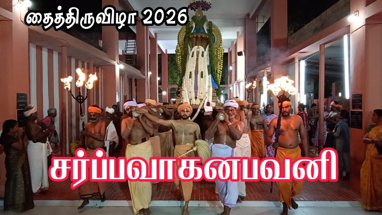 தைத்திருவிழா ஆறாவதுநாள் சர்ப்பவாகனபவனி #ayya1008toptv #samithoppu - YouTube