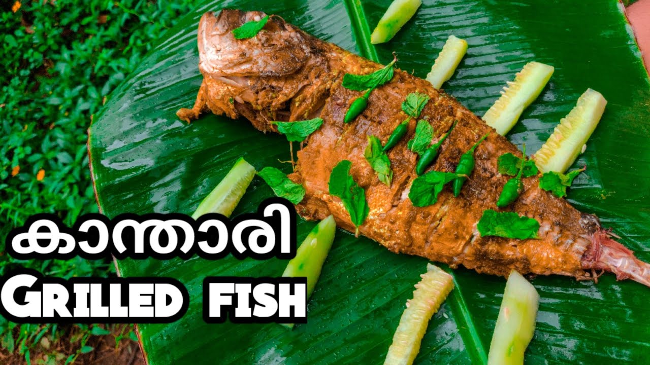 Kanthari Grilled Fish | Tabasco pepper grilled fish | how to grill ...
