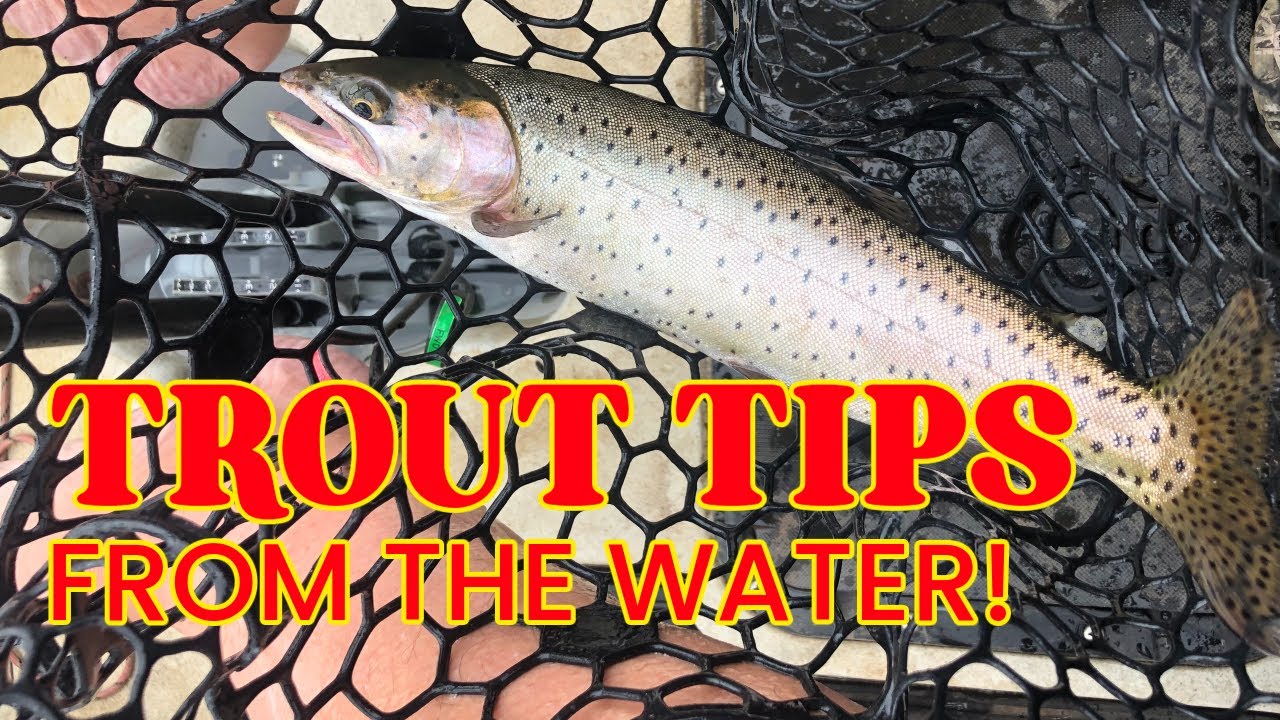 On The Water Trout Trolling Strategy - YouTube