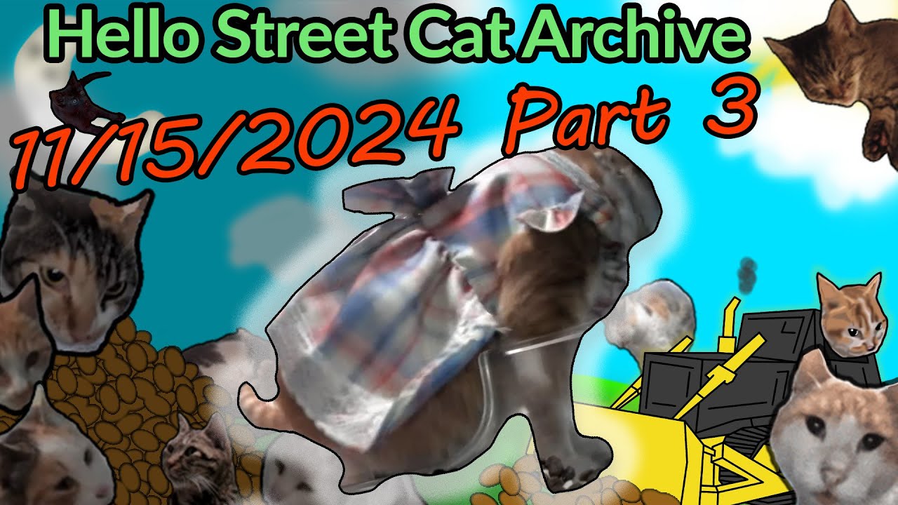 Ms. Dress' New Plaid Gown Stuns the Hello Street Cat Community! 🐈😸 11 ...