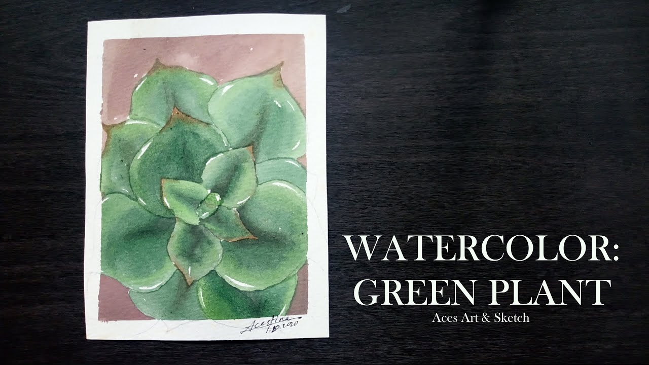 Green Plant | Easy Watercolor Painting Idea for Beginners | Step by ...