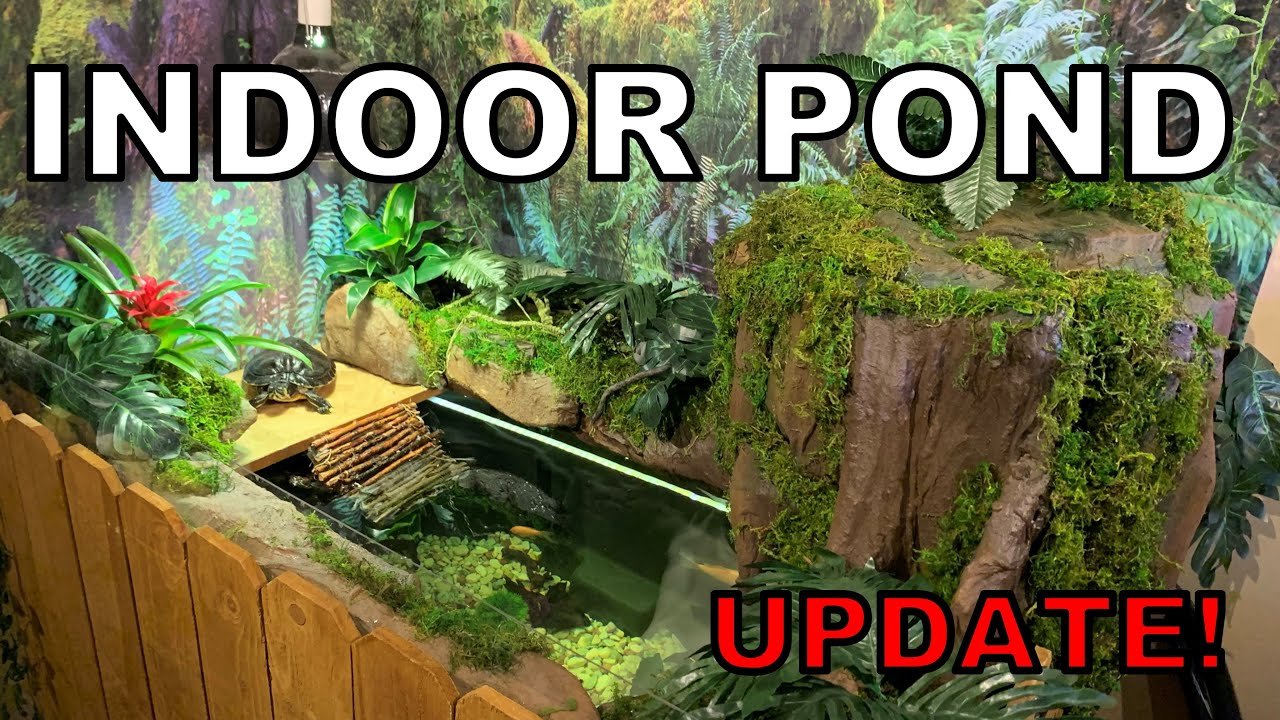 DIY Indoor Turtle Pond - 100 Gallon Turtle Tank Looks Like the Jungle ...