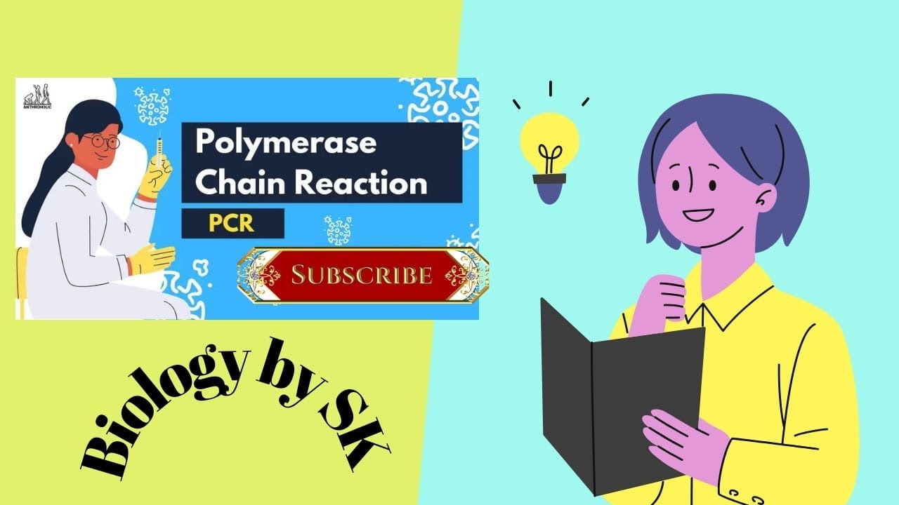 Animation of PCR(polymerase chain reaction) Biology by SK - YouTube