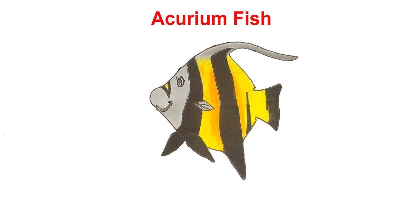 Easy Aquarium fish Drawing || How to Draw Aquarium fish Step by Step ...