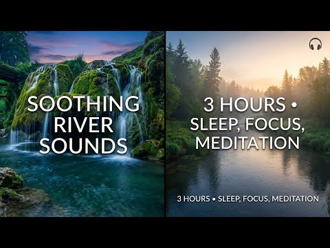 Nature Sounds 😣 Sleepless Nights Again? This Will Calm You