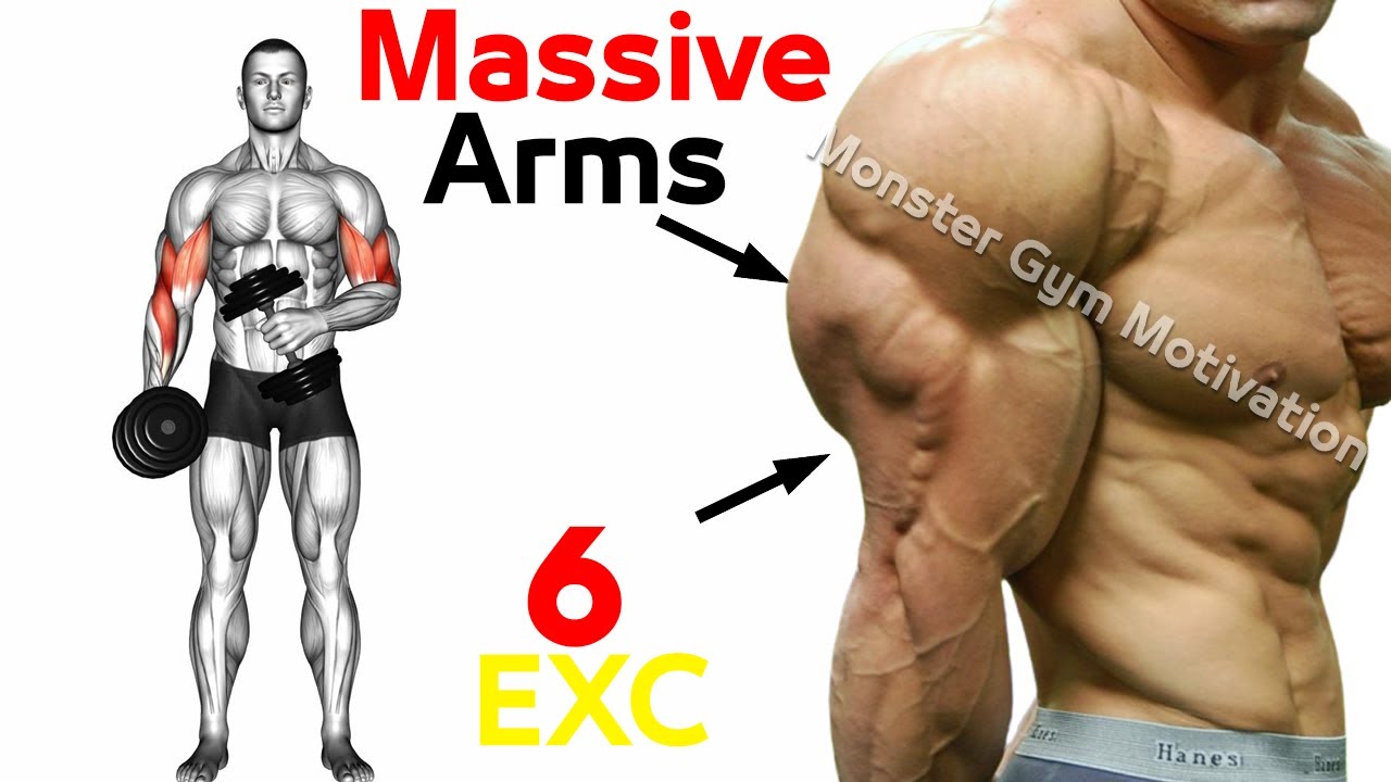 Build A Huge And Strong Arms With These Simple Arms Workout - YouTube