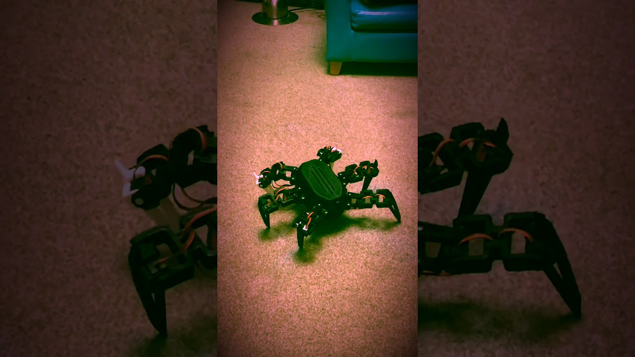 Crazy Robot Spider dancing - YouTube