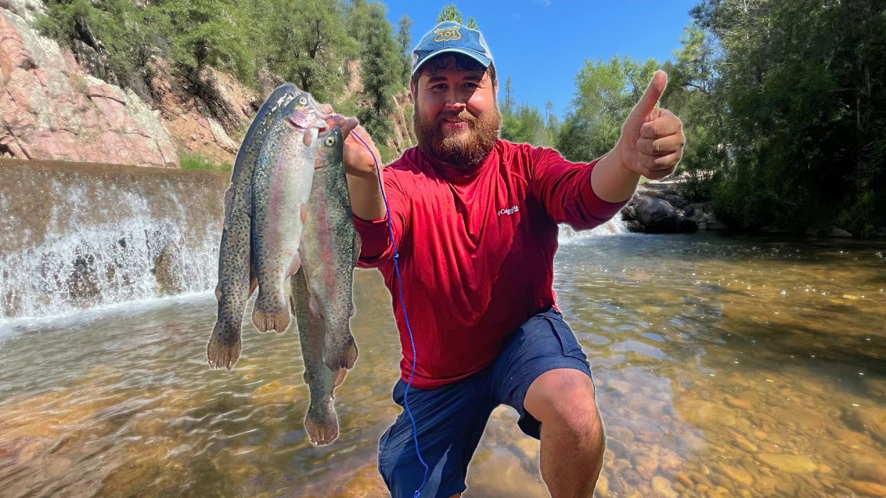 Trout Fishing ADVENTURE In A Small Mountain Creek Nonstop Fish YouTube trout-fishing-adventure-in-a-small-mountain-creek-nonstop-fish-youtube