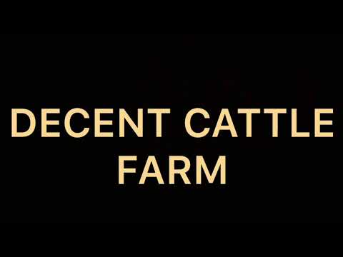 Decent cattle farm 🐄 - YouTube