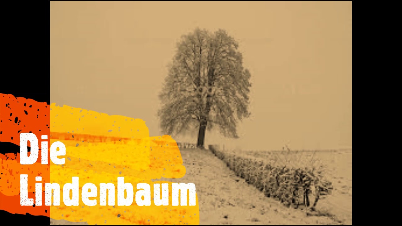 Die Lindenbaum - Audioguía - Winterreise - Op48, N°5 - Franz Schubert ...