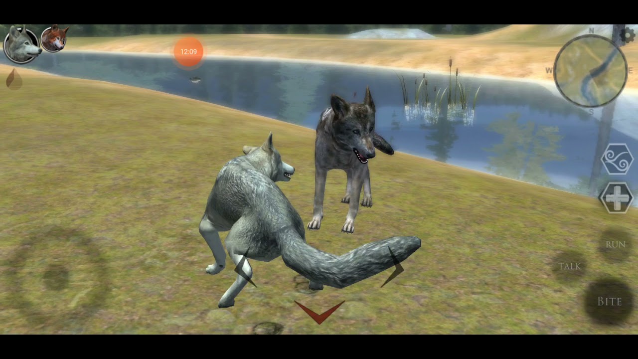 Caring for our pups!|ultimate wolf simulator 2|#7.2 - YouTube