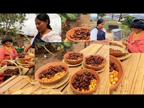 Un plato ancestral deliciosos catzos rojos - YouTube