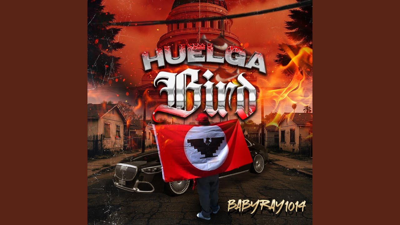 Huelga Bird - YouTube