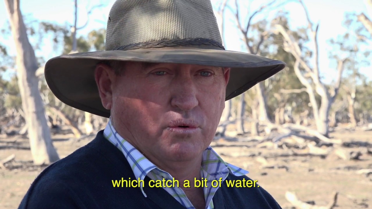 NSW river water extraction - some rare good common sense - YouTube