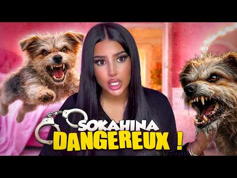 LE CHIEN DE SOKAHINA FAIT PEUR 🤯 SON COMPORTEMENT EST CHOQUANT !