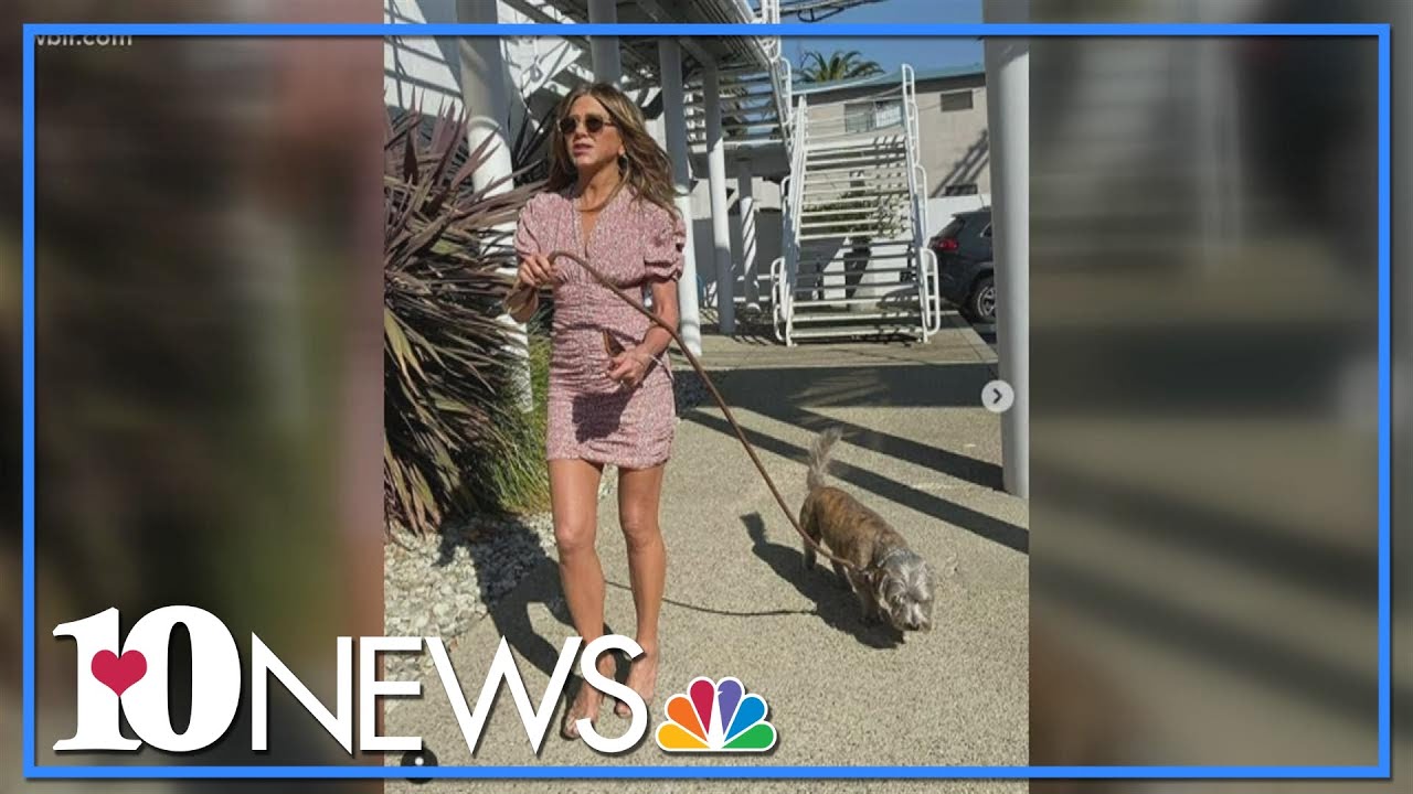 What's Trending: Vanessa Bryant, Jennifer Anniston's puppy & Jessica ...
