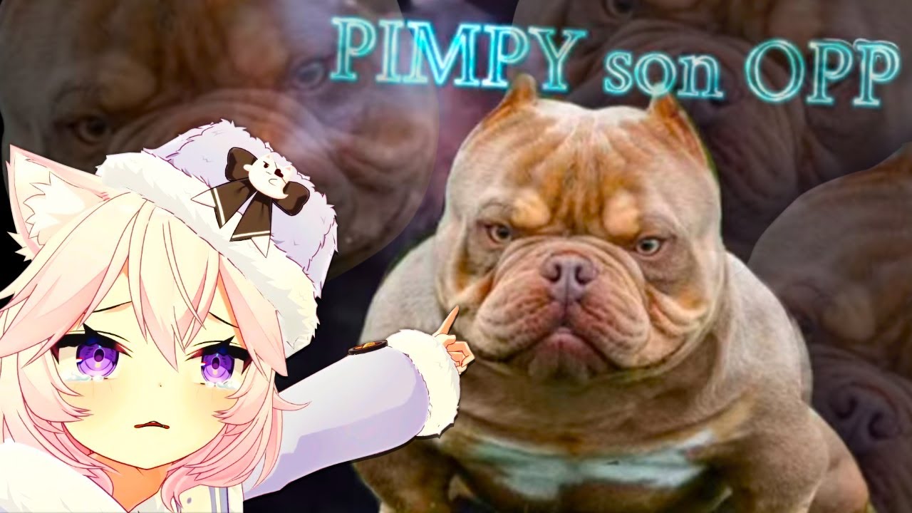 Nyanners Discovers the World of Pitbull Inbreeding【Just Chatting】 - YouTube