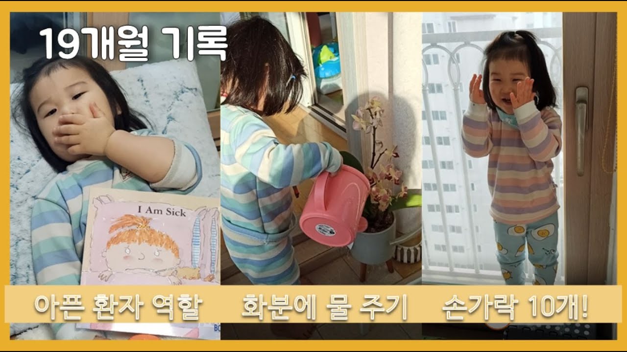 19개월 발달 기록엄마표 영어 언어 발달 인지 발달 집안일 참여하기 등 Youtube