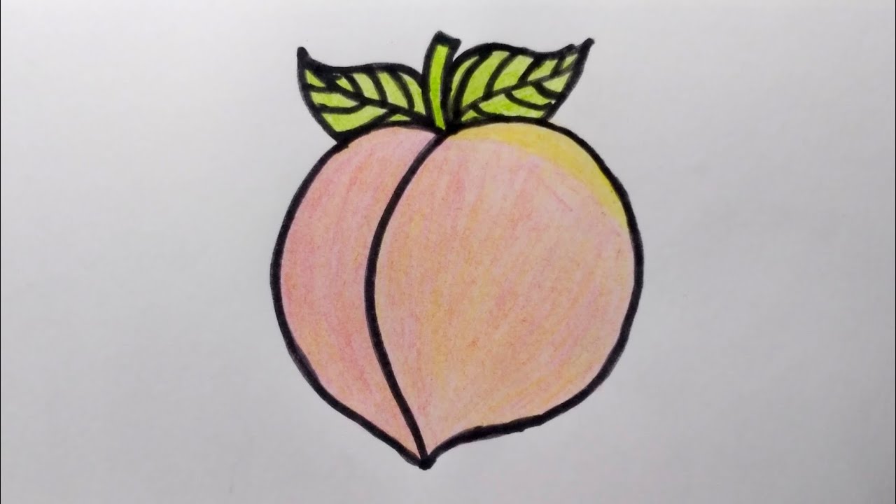 How To Draw Peach Fruit// Peach Drawing For Kids// Peach Drawing With ...