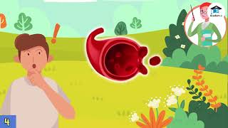 SCIENCE06L11: Vascular and Nonvascular Plants