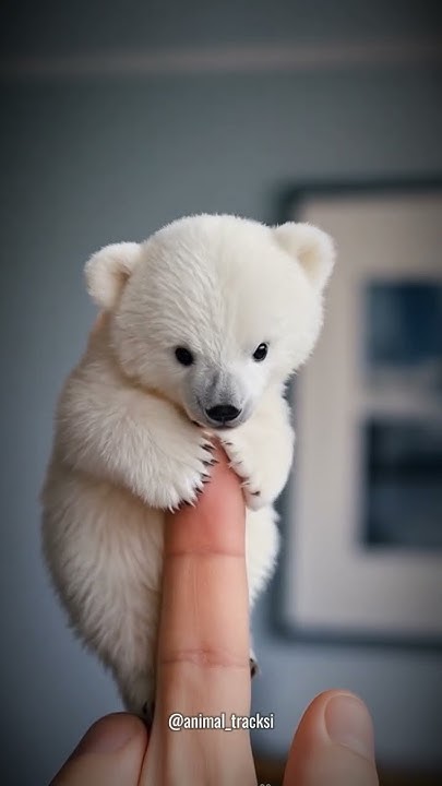 a little polar bear and cat standing on fingers - YouTube