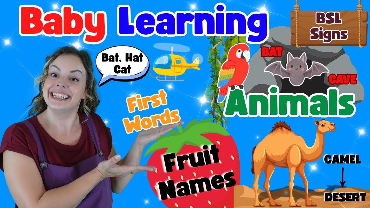 Baby Learning First Words and Signs with Miss Katie, Learn Where ...