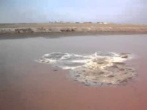 Dairy Lagoon Treatment - YouTube