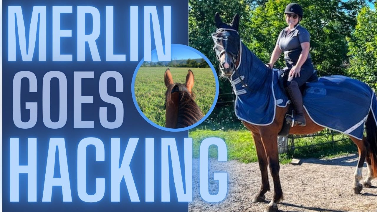 Hacking My Young Horse Out for the First Time! // Kaitehh Equestrian ...