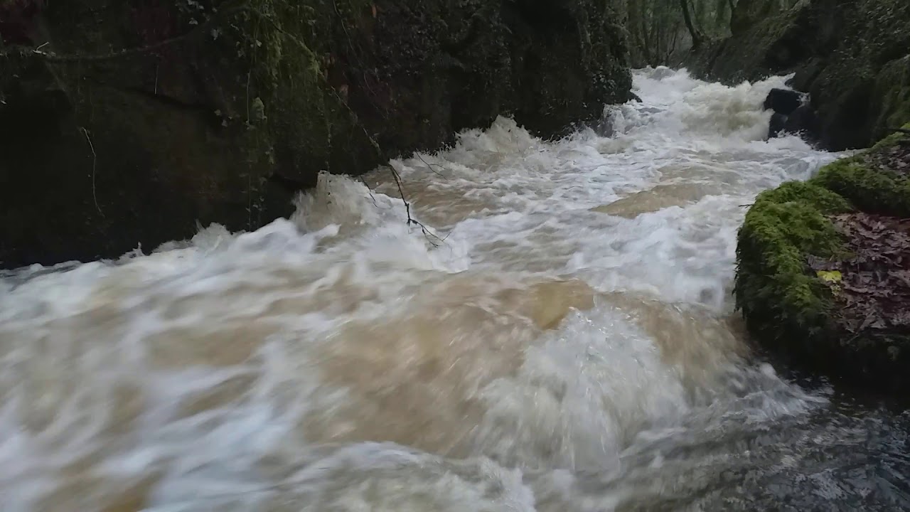 Par river through Luxulyan Valley - YouTube