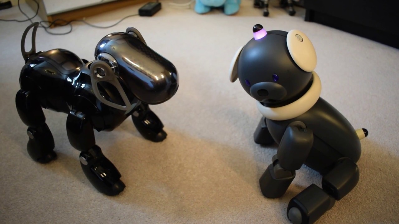 Aibo ERS-312 Happy Mode - YouTube