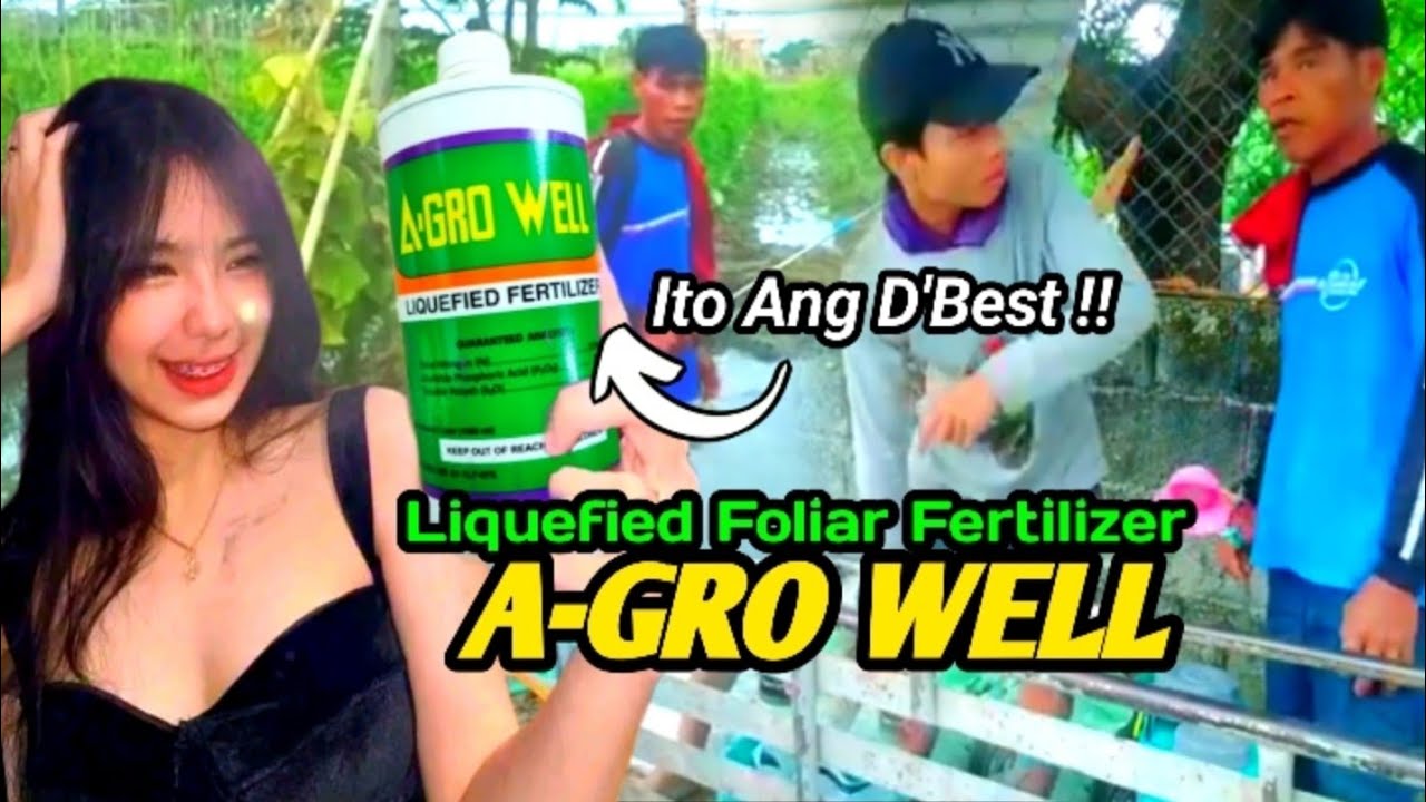 AGRO WELL : We tried the new and the best Liquefied Foliar Fertilizer #agrowell #foliar #insects ...
