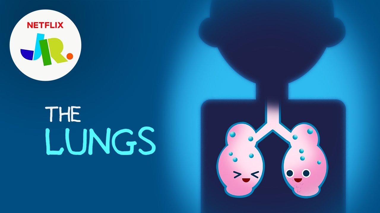 What Are Lungs? 💨 StoryBots: The Human Body for Kids | Netflix Jr - YouTube
