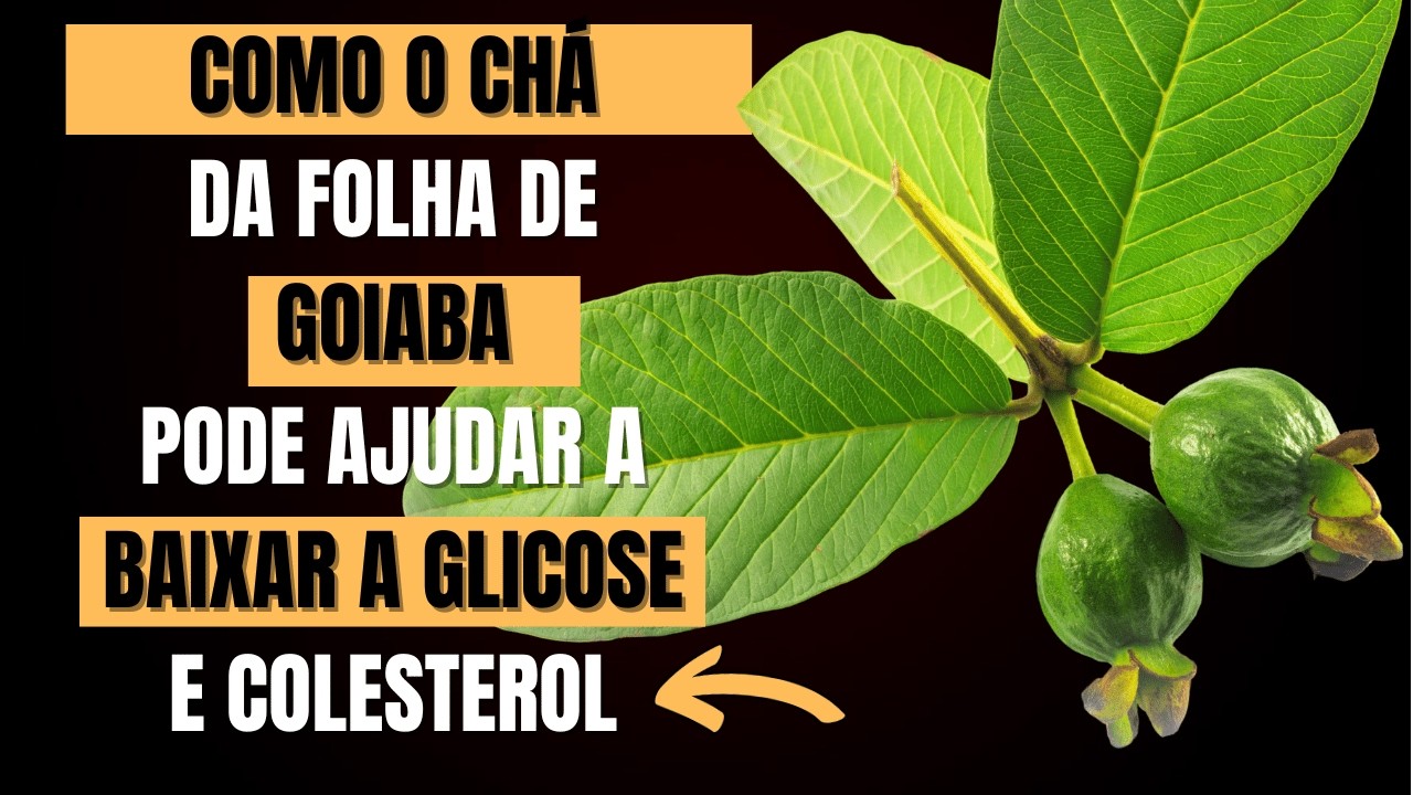 🍃Chá da Folha de Goiabeira pode baixar a glicose e colesterol - YouTube