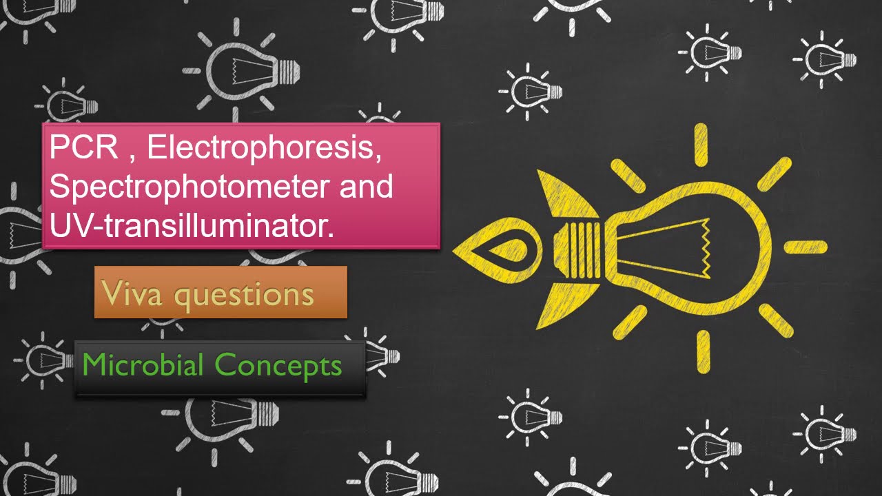 Viva questions on PCR, Spectro, Electrophoresis, UV Transilluminator ...