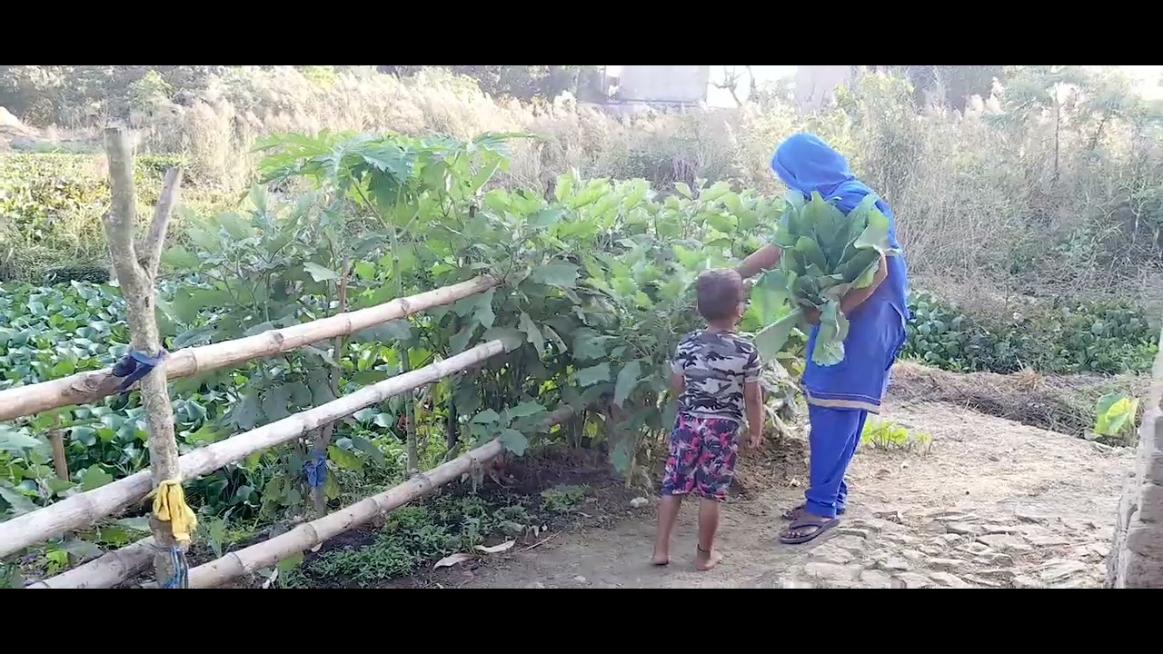ghar ji fresh sabjiya 🥰 // best vegetables - YouTube