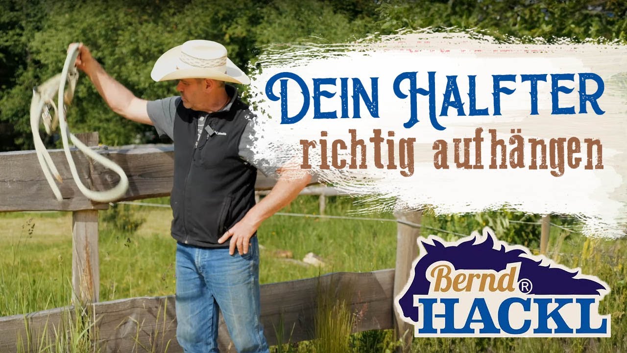 So hängst du dein Halfter richtig auf | Bernd Hackl erklärt! 🐴 - YouTube
