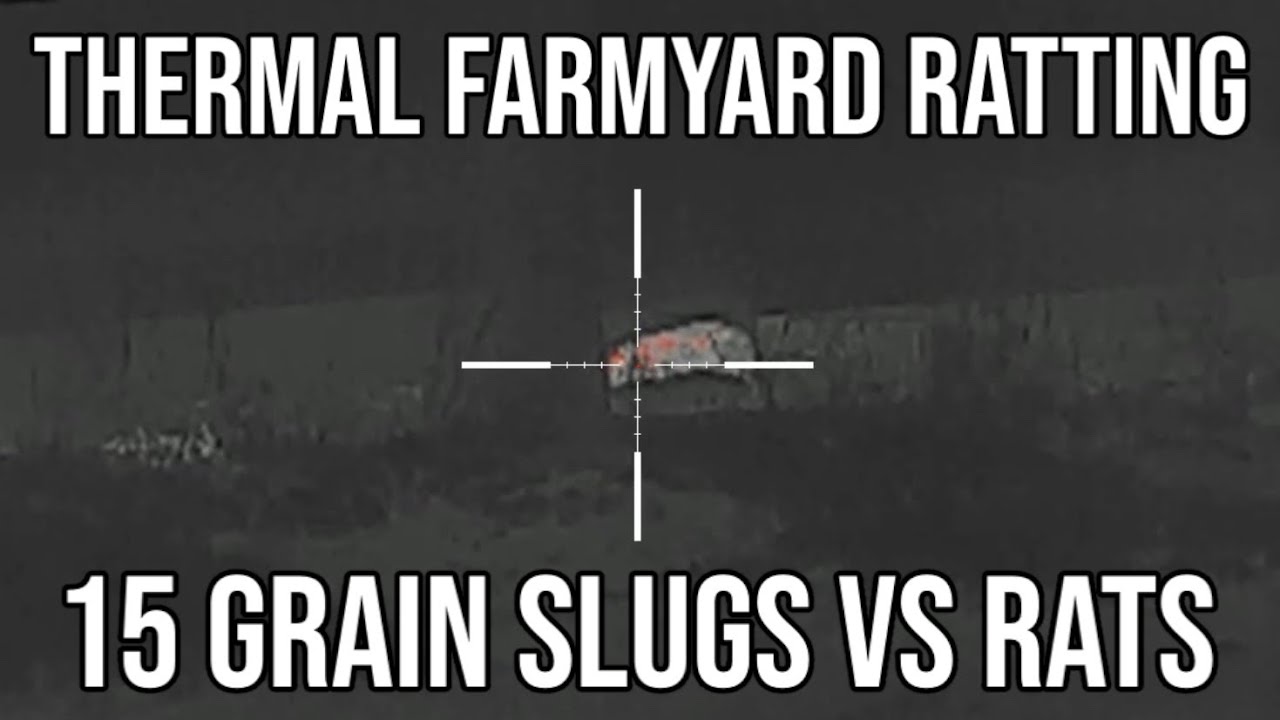 15 grain slugs vs rats || Thermal Farm Yard Ratting || .22PCP Air Rifle ...