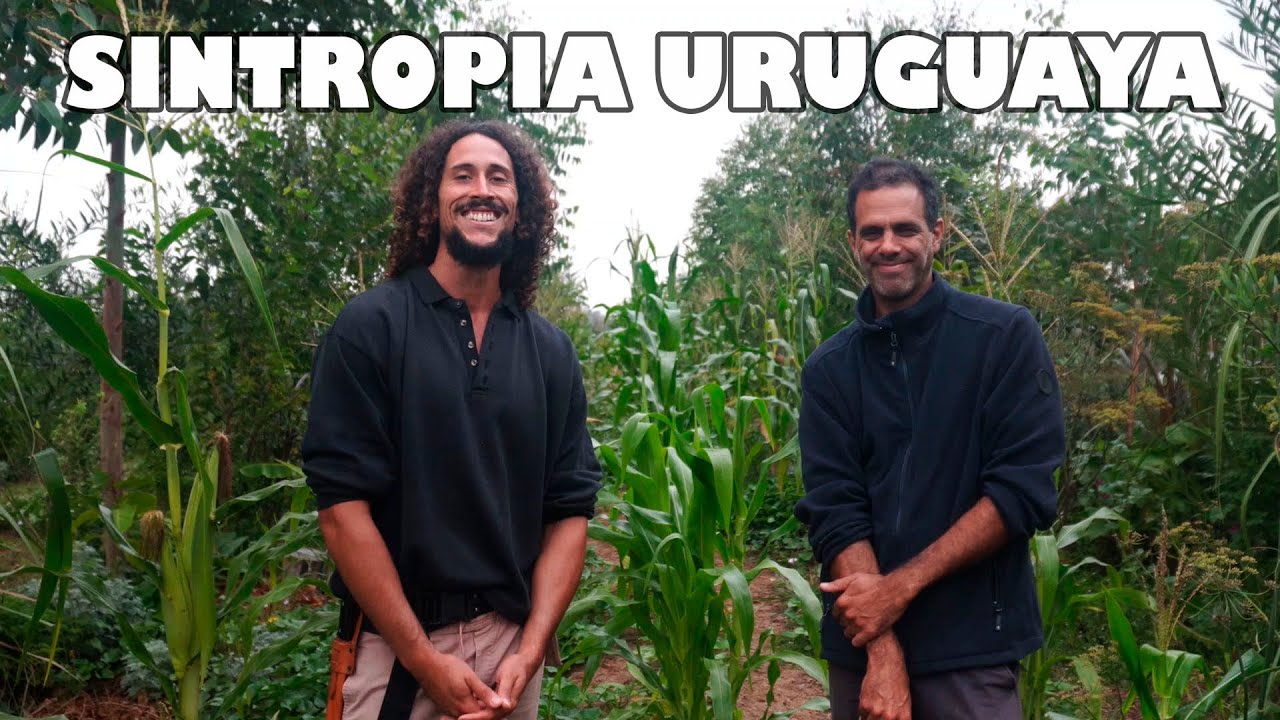 SINTROPIA en URUGUAY - Poda & Manejo del Bosque de Alimentos ...