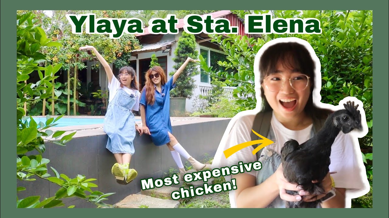 FARM TOUR: Ylaya at Sta. Elena Laguna (Laughtrip! Tour guide, naligaw ...