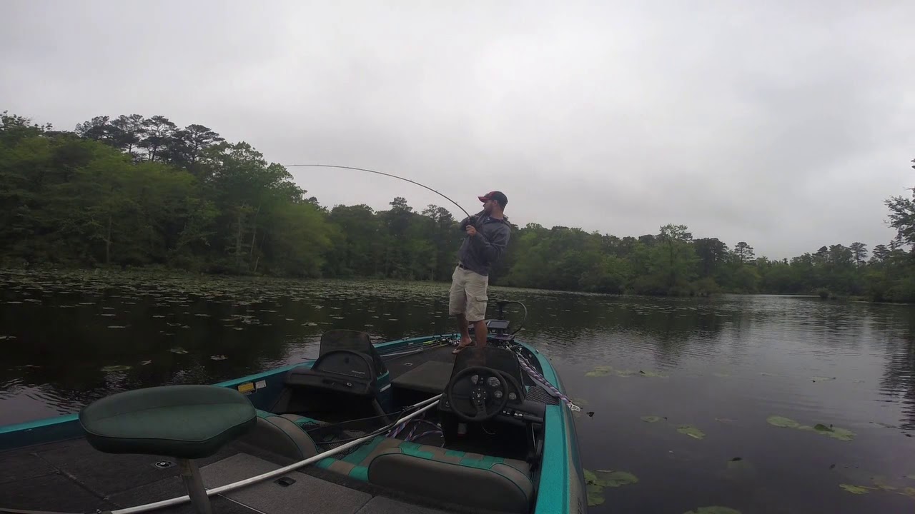 Phone call fish catching - YouTube