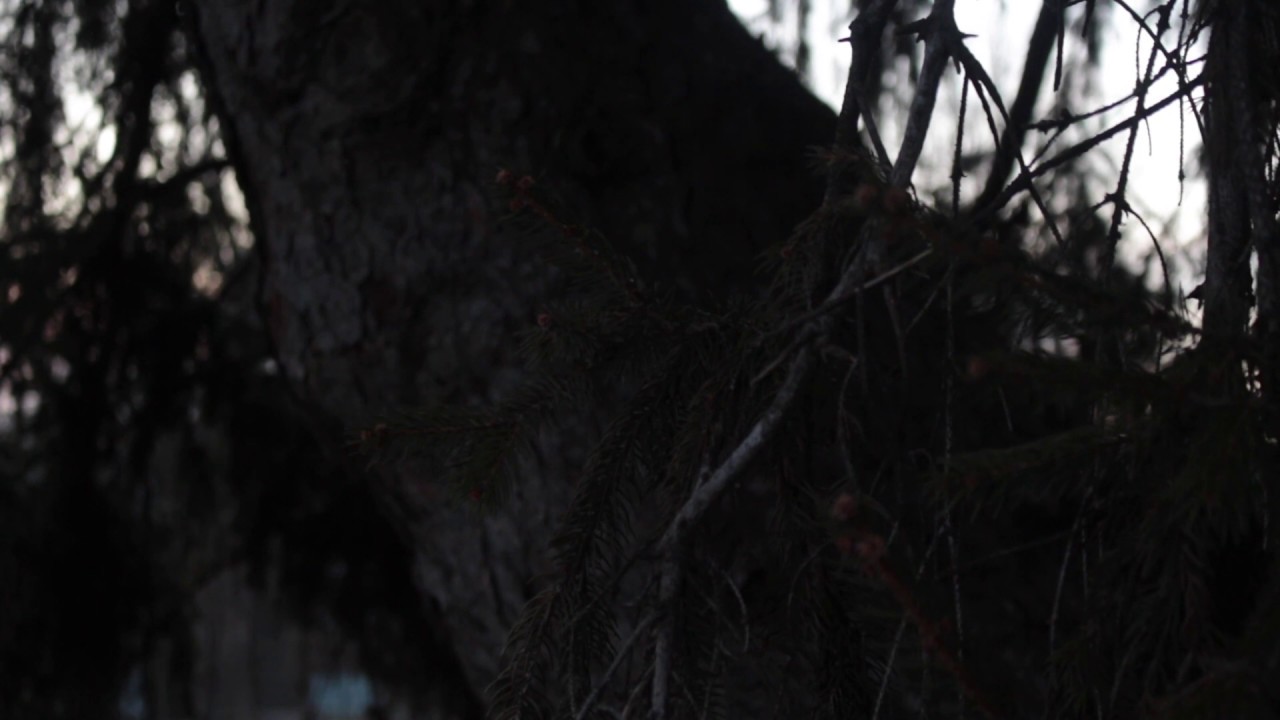 Cinematography I- Story of Dusk - YouTube