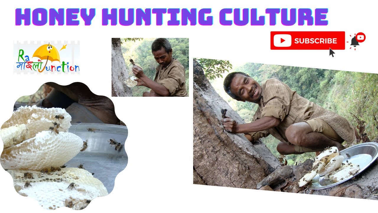 Honey Hunting Culture by Chepang Indigenous people // मह निकाल्ने तरिका ...