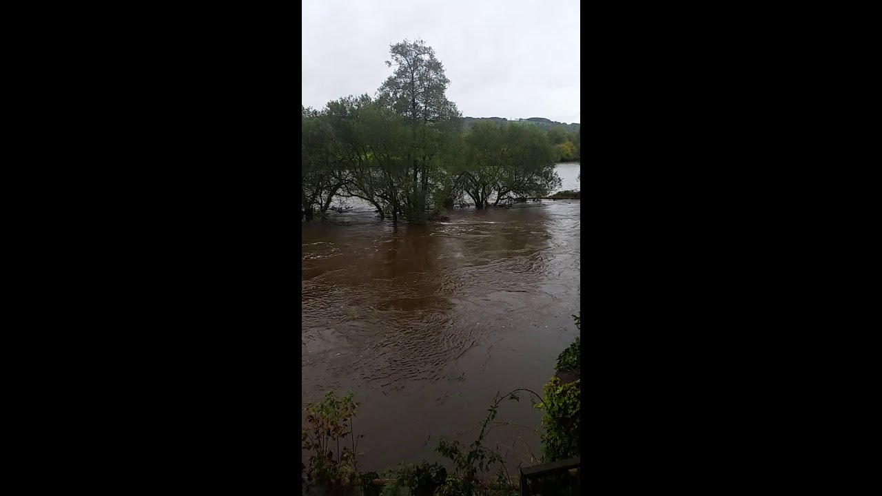 River Teifi in flood near Lampeter - YouTube