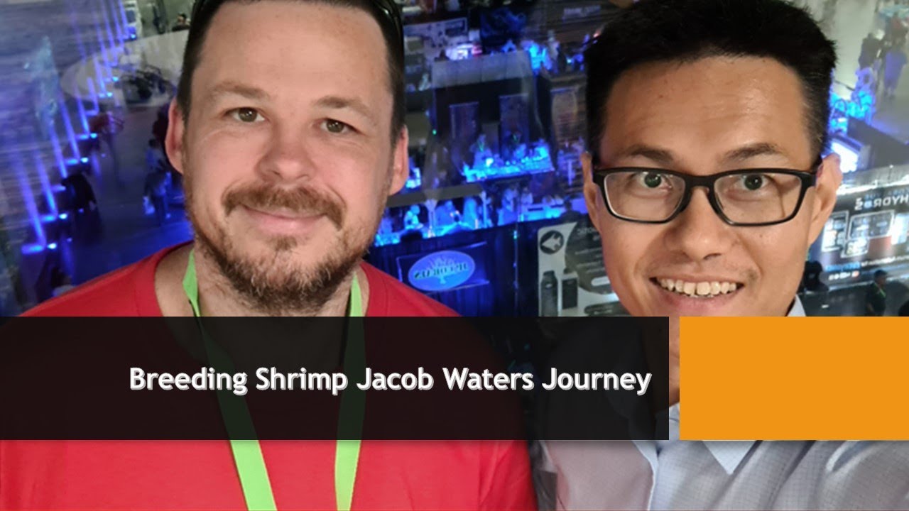Breeding Shrimp Jacob Waters Journey - YouTube