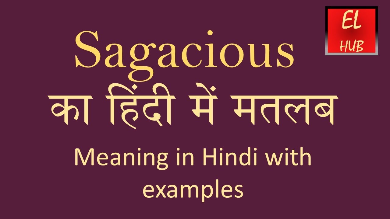 Sagacious Meaning In Hindi YouTube Sagacious Meaning In Hindi YouTube