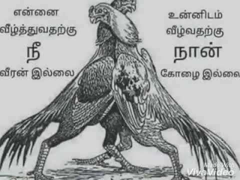 Salem Mohan (sandai Savel) - YouTube
