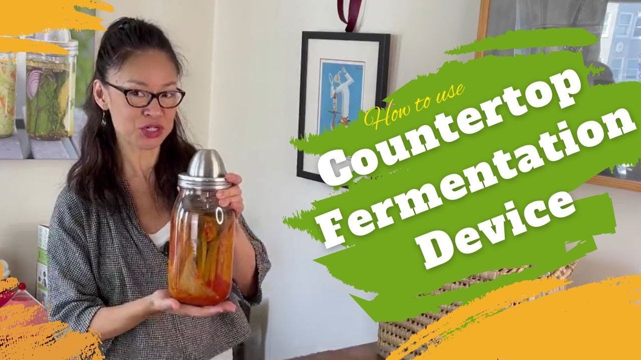 How to use a Countertop Fermentation Device || The Little Fermenter ...